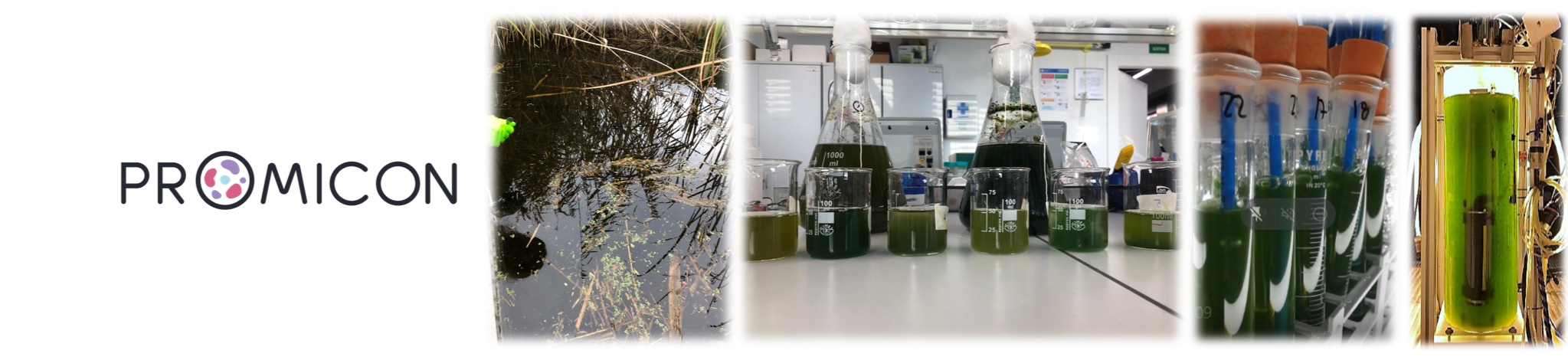 BANNER PROMICON.png.png — Group of Environmental Engineering and ...